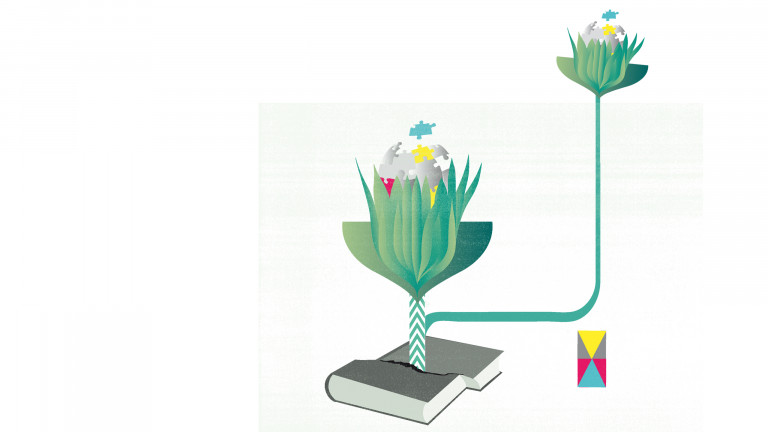 anne rapp illustration