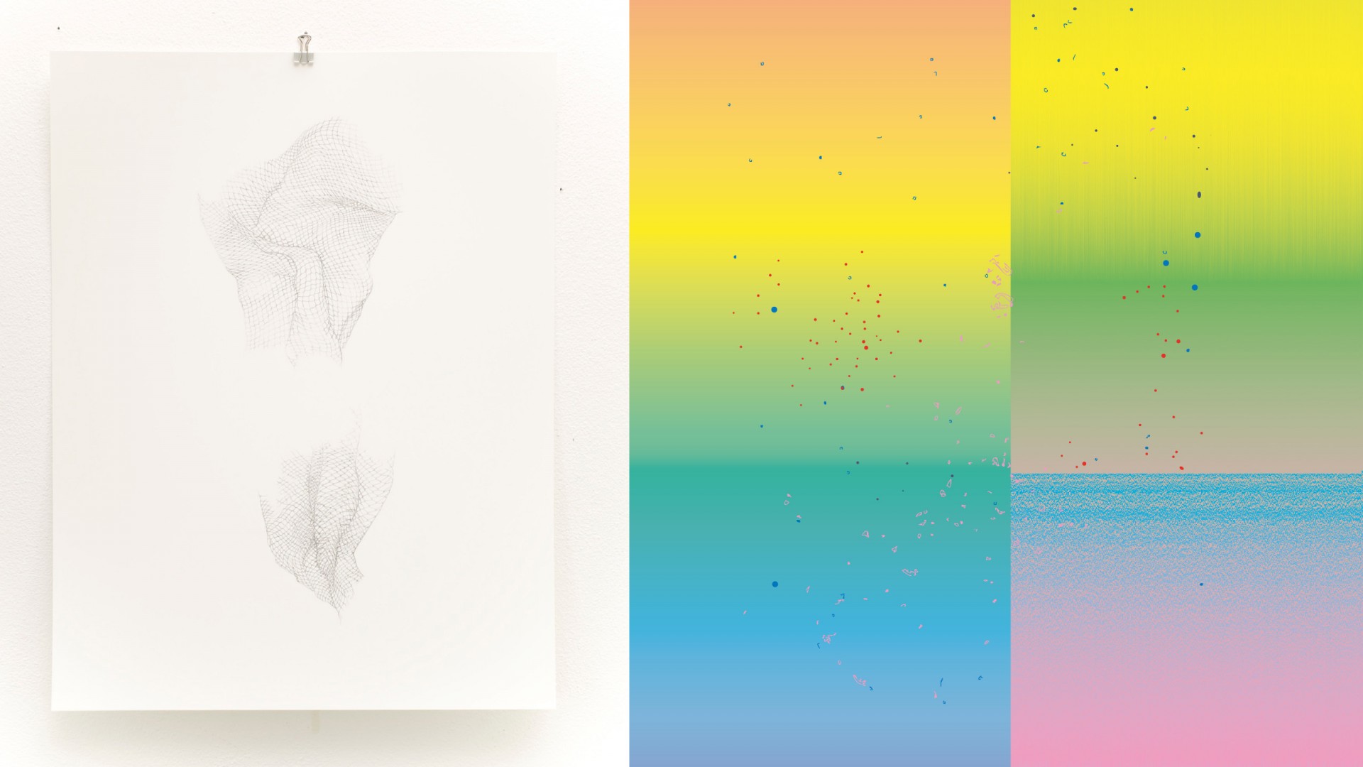 anne rapp illustration